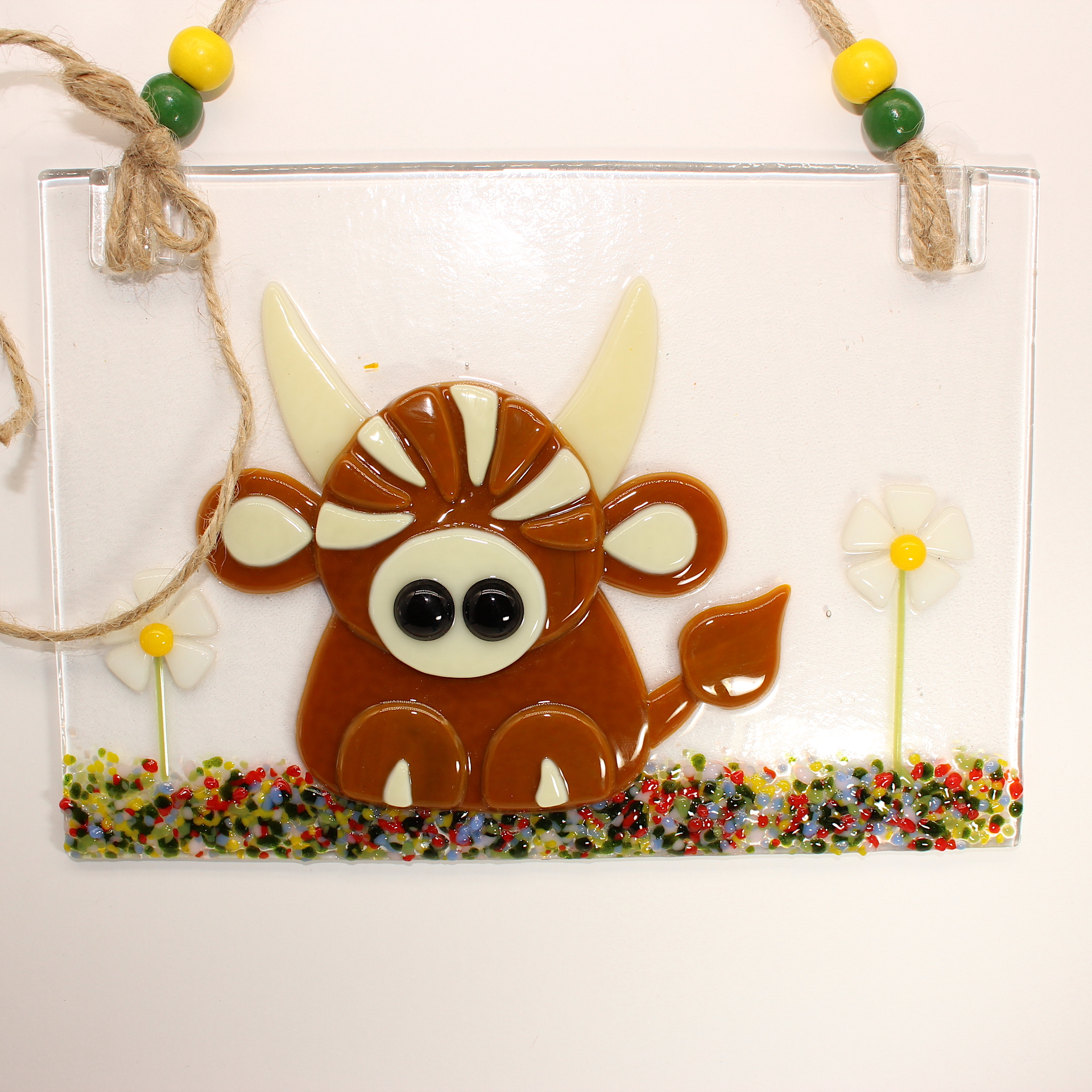 Highland Coo
