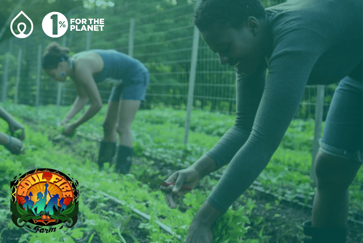 Meet Soul Fire Farm - Blogs - Climate People