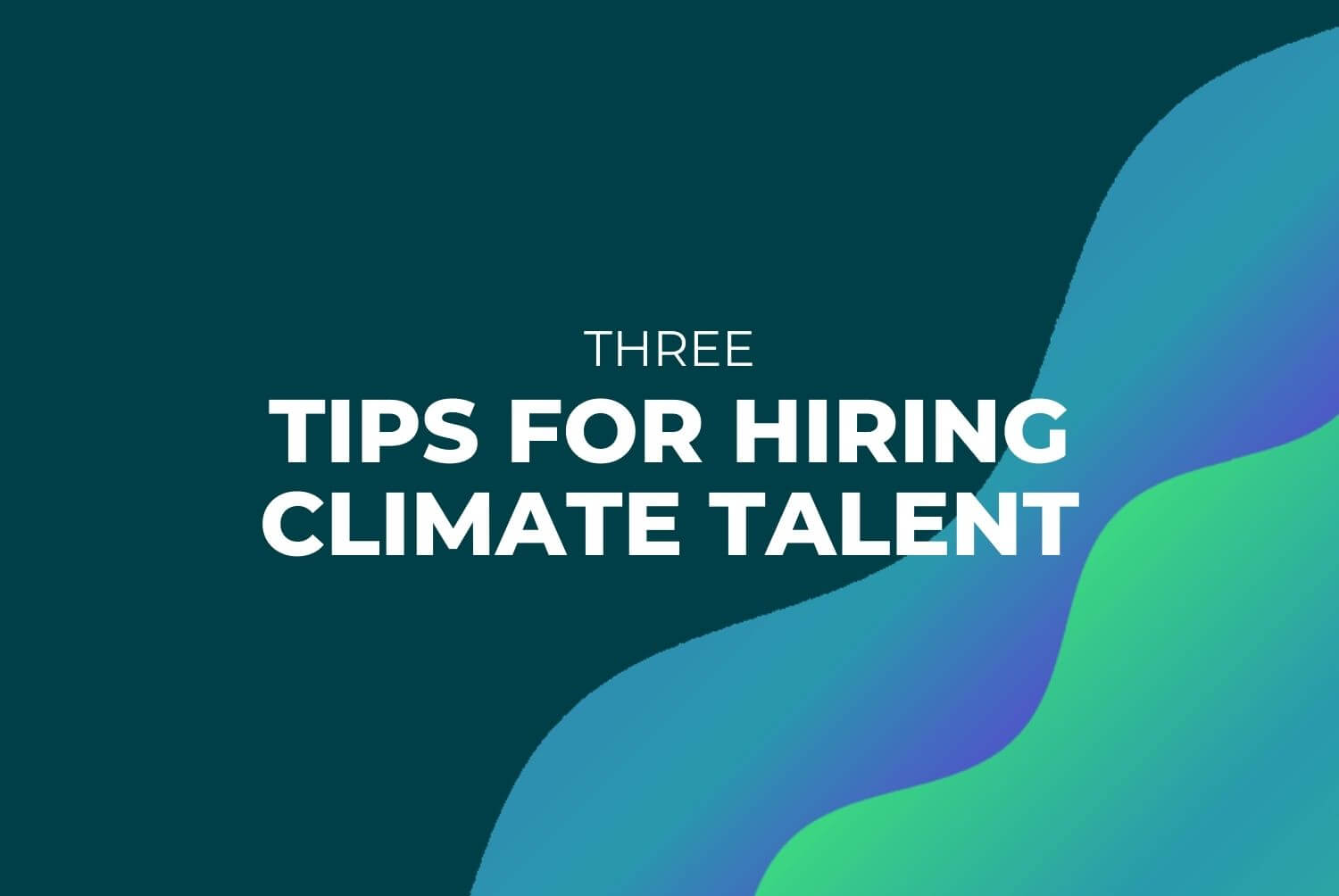 What Climate Talent Expect in a Role - Blogs - Climate People