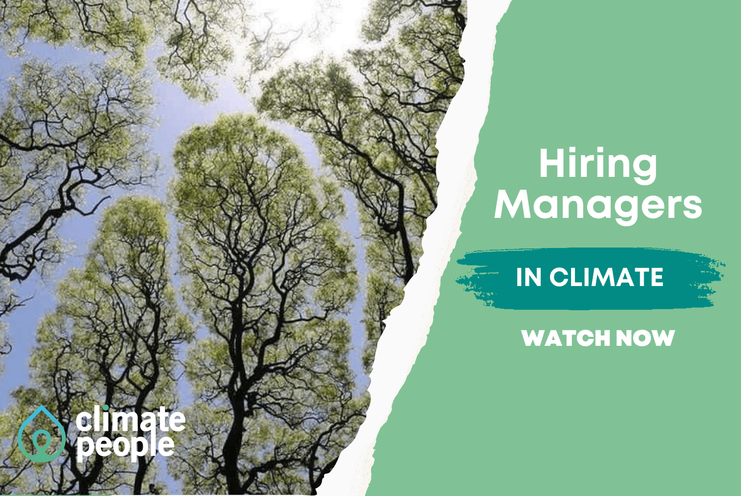 WEBINAR: Hiring Managers in Climate Panel - Blogs - Climate People