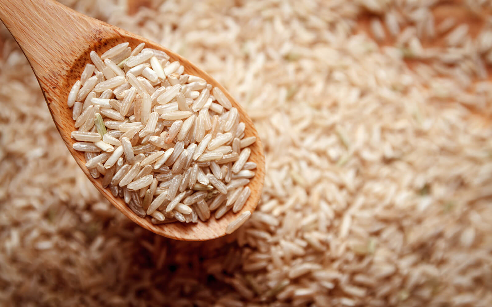 Can I Have Rice If I Have Prediabetes Can I Have Rice If I Have Prediabetes