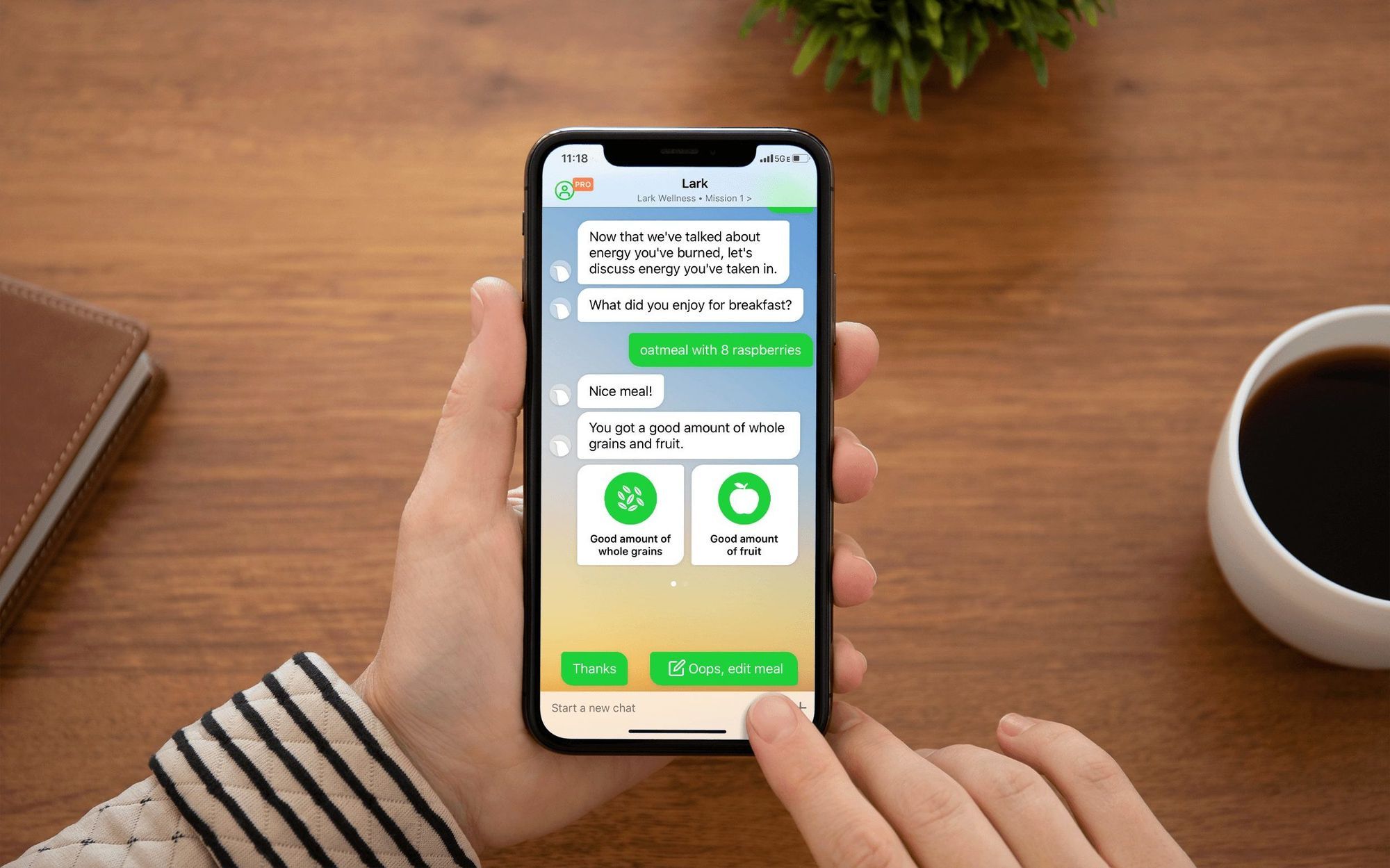 Food Logging with Your Lark Program