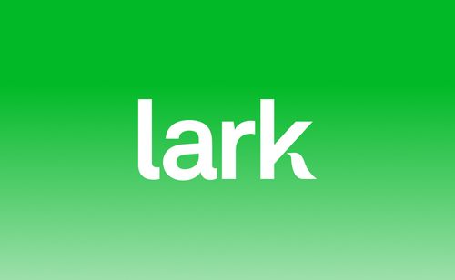 More About Lark