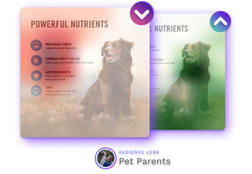 Visual Brand Performance | Platform | Vizit