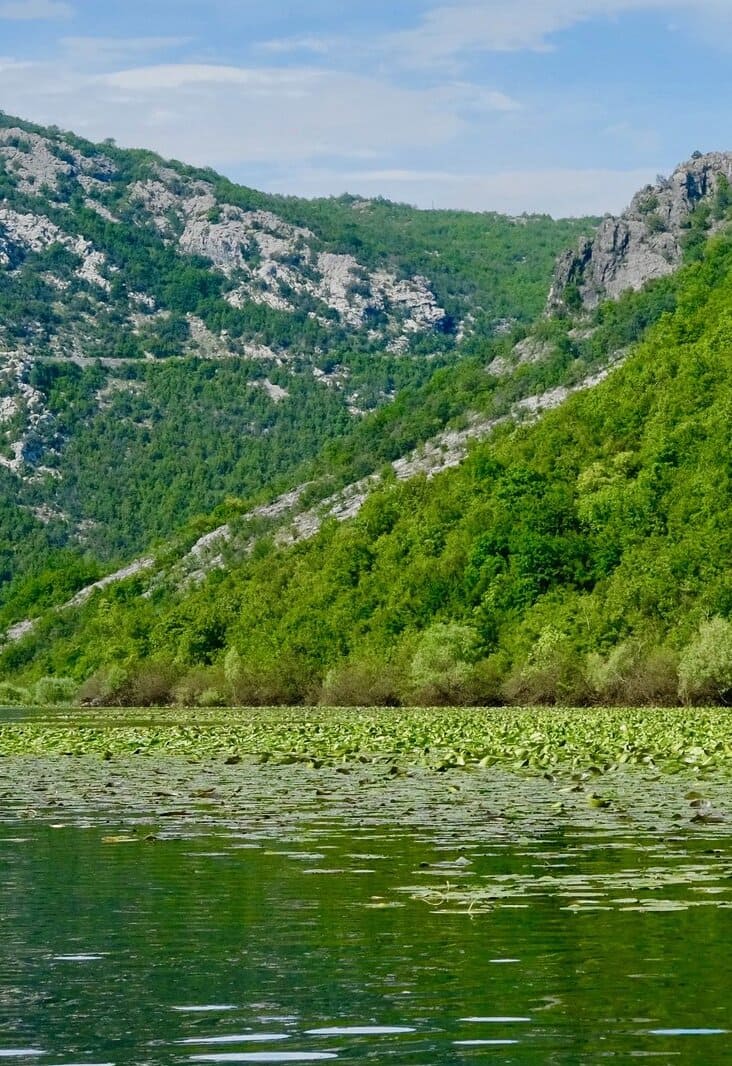 Covid-19 Testing Requirements for Montenegro | Corona Test Centre