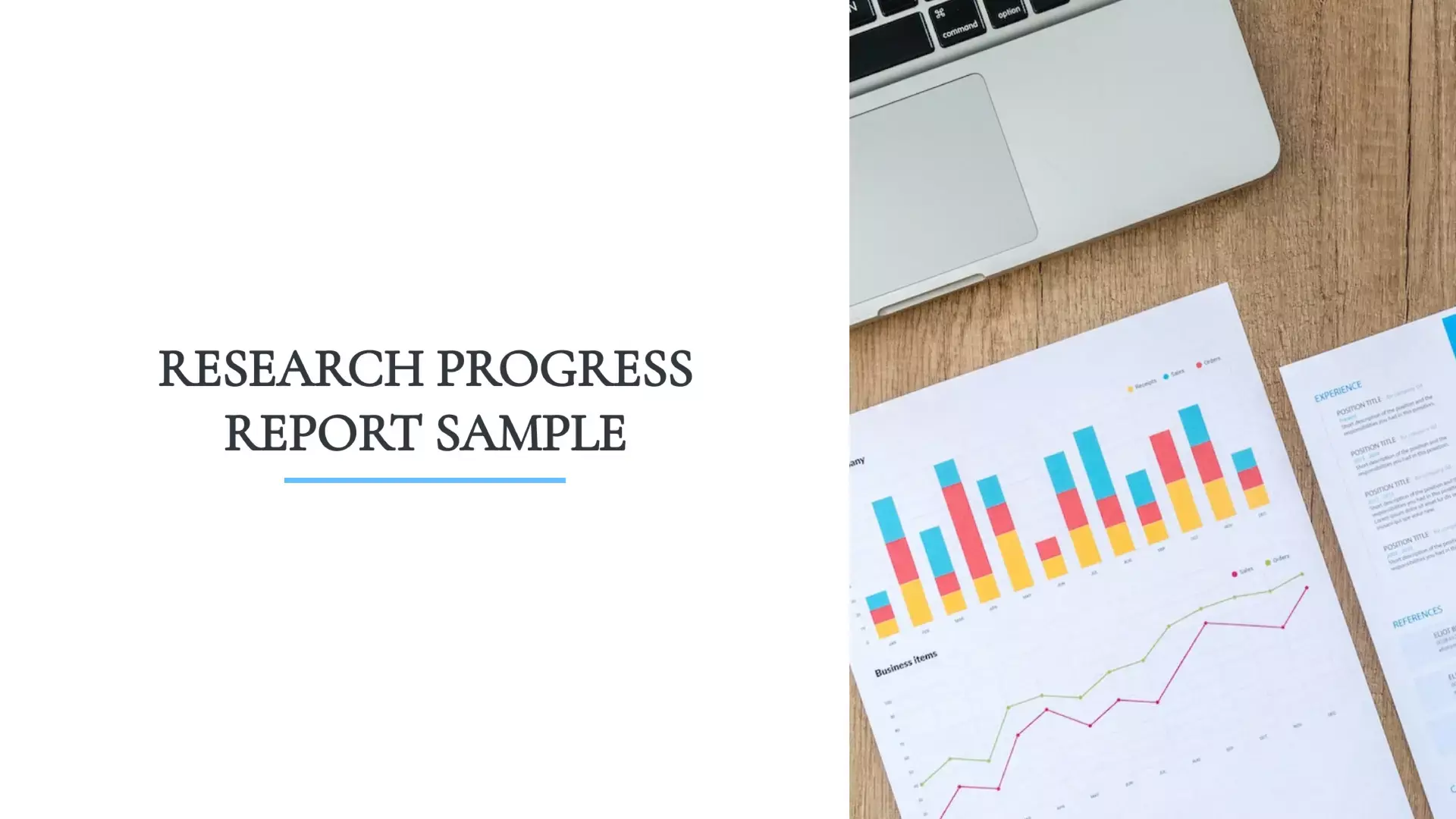 Research Progress Template