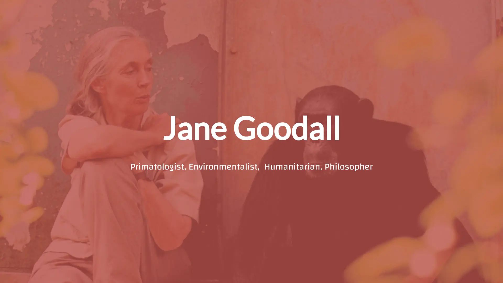 Jane Goodall Presentation Template