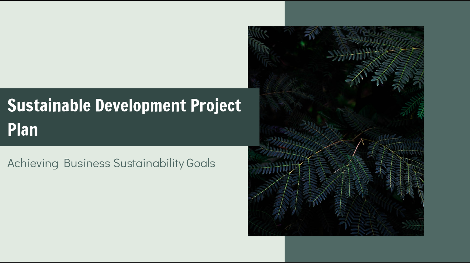 Sustainable Development Project Plan