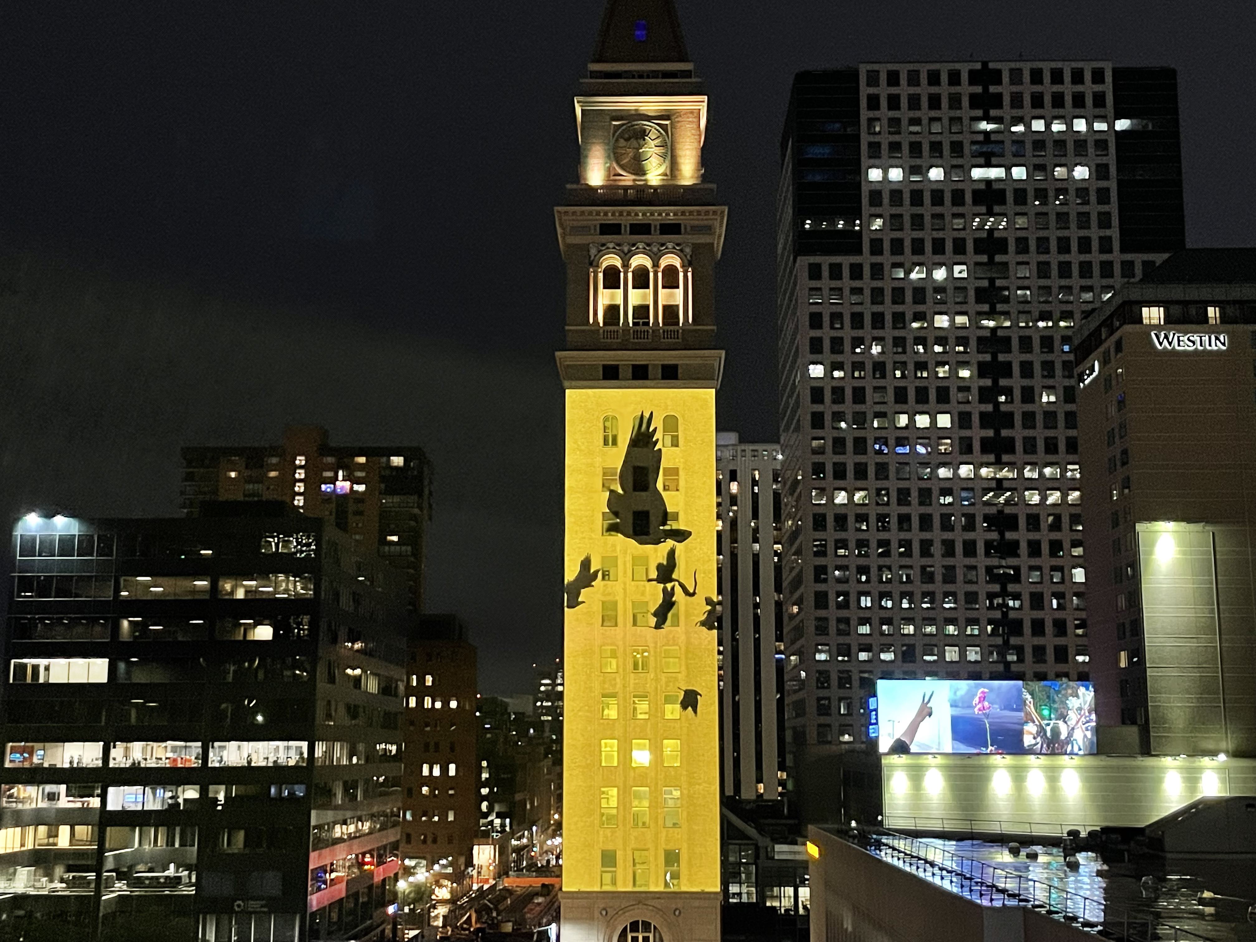 Night Lights Denver – Donna Conlon