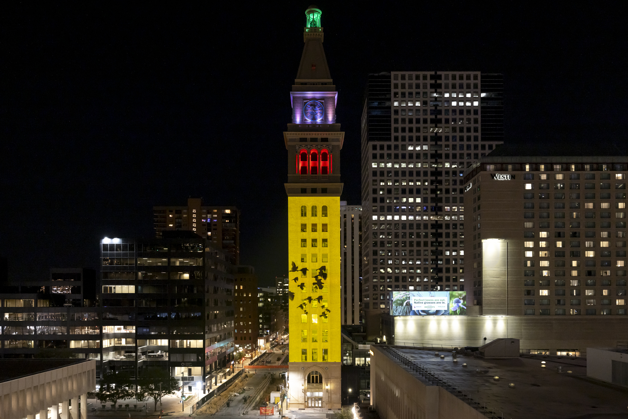 Night Lights Denver – Donna Conlon