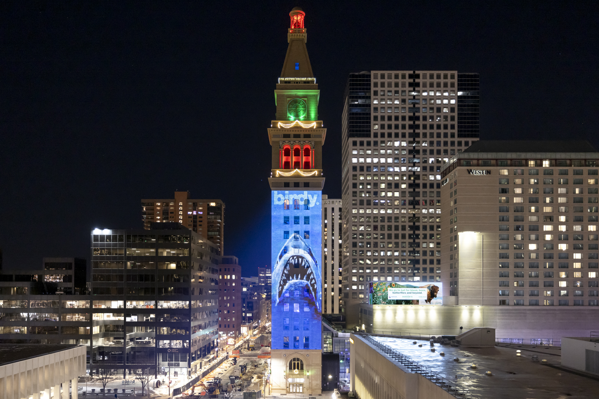 Night Lights Denver – Birdy Magazine