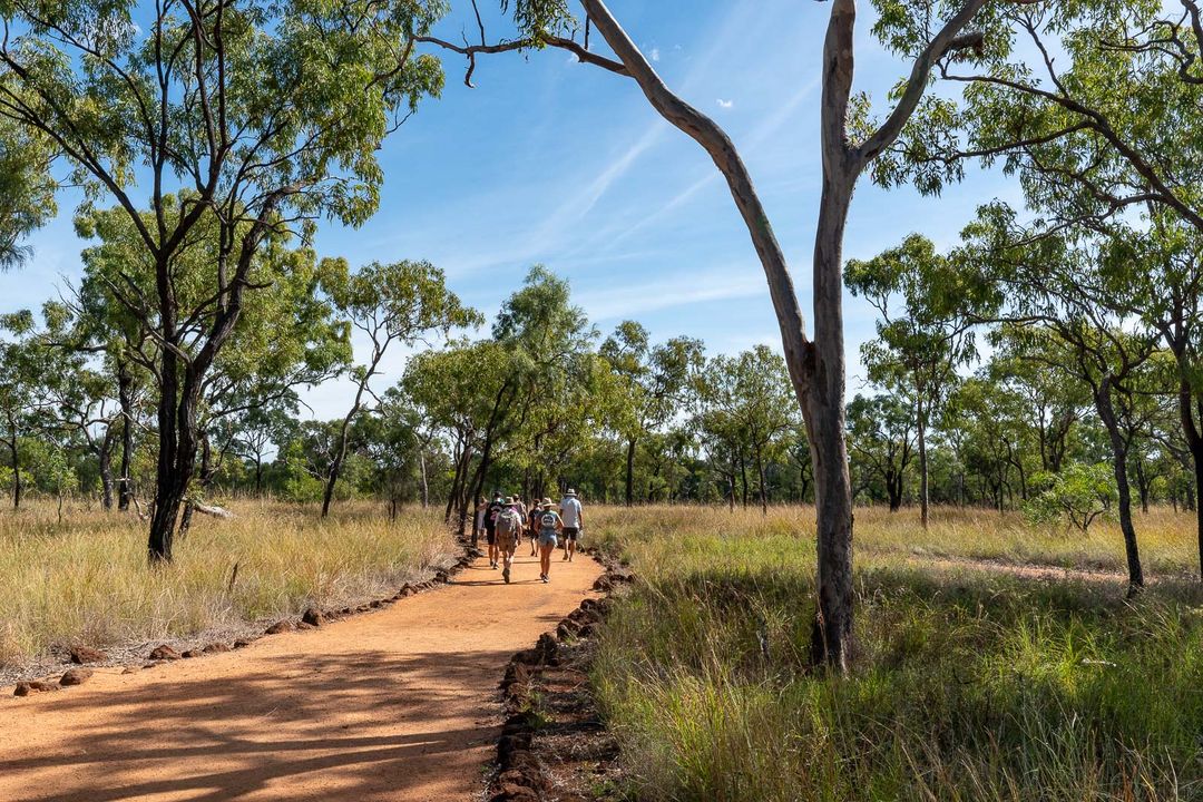 Undura Lava Tubes 1 & 2 Day Tours. Best Undara tours!