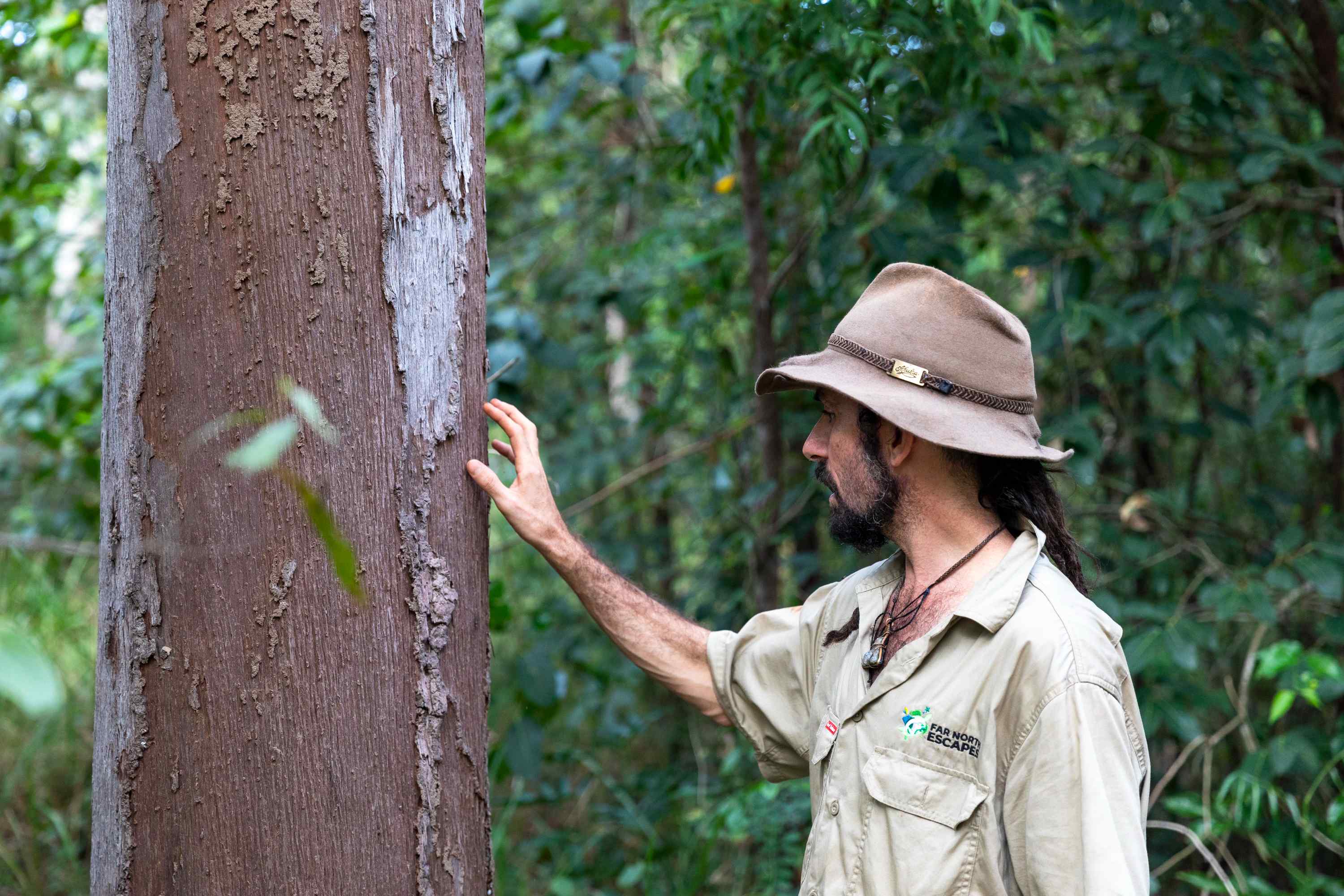 The Old Telegraph Track, Cape York Australia - Far North Escapes Cape ...