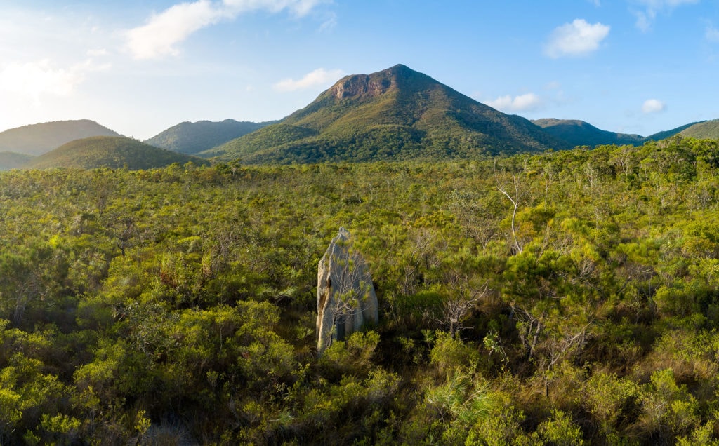 Iron Range National Park (Kutini-Payamu) - Far North Escapes Cape York ...