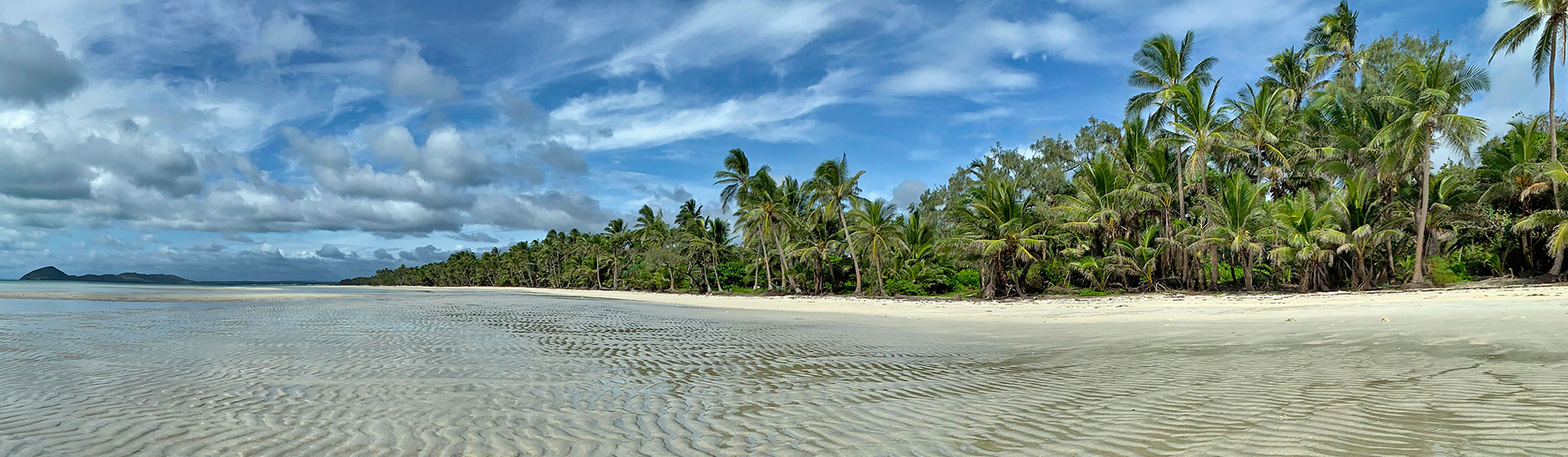 Iron Range National Park (Kutini-Payamu) - Far North Escapes Cape York ...