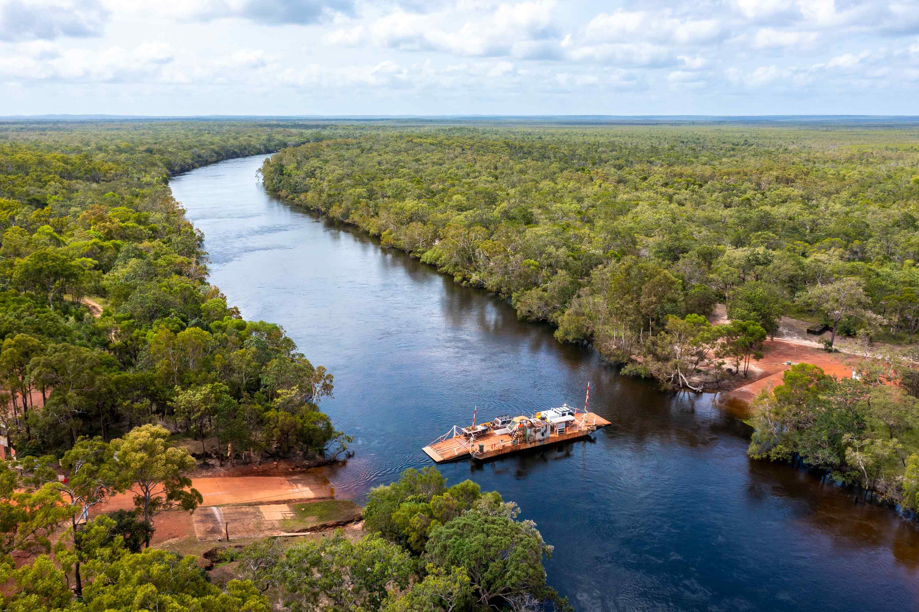 Best Daintree Rainforest Trips & Tours