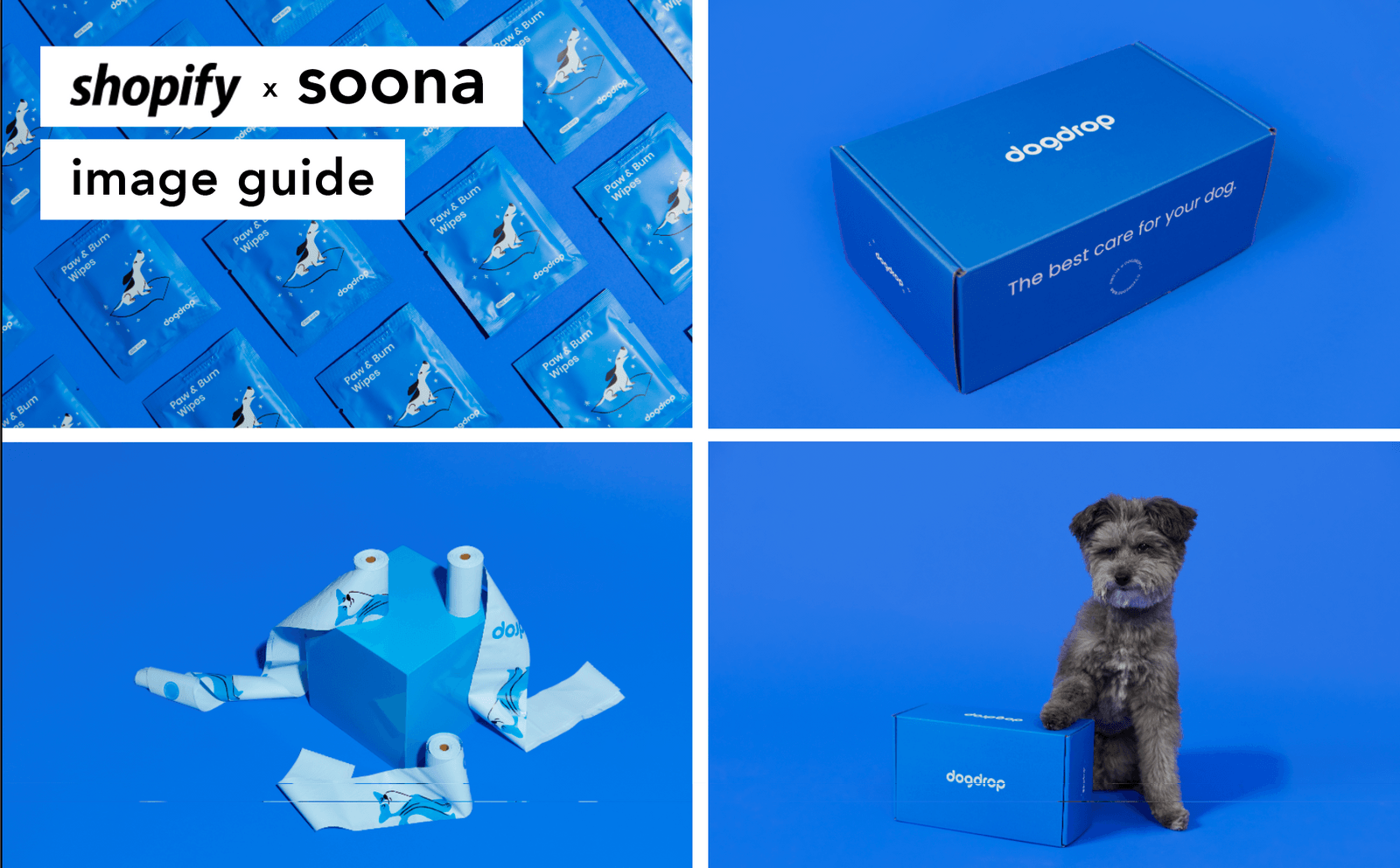 Shopify image sizes: every type explained | soona