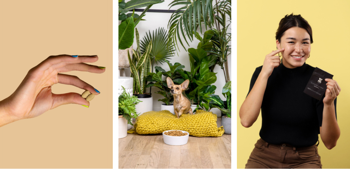 model pricing guide: what to expect when hiring a model | soona