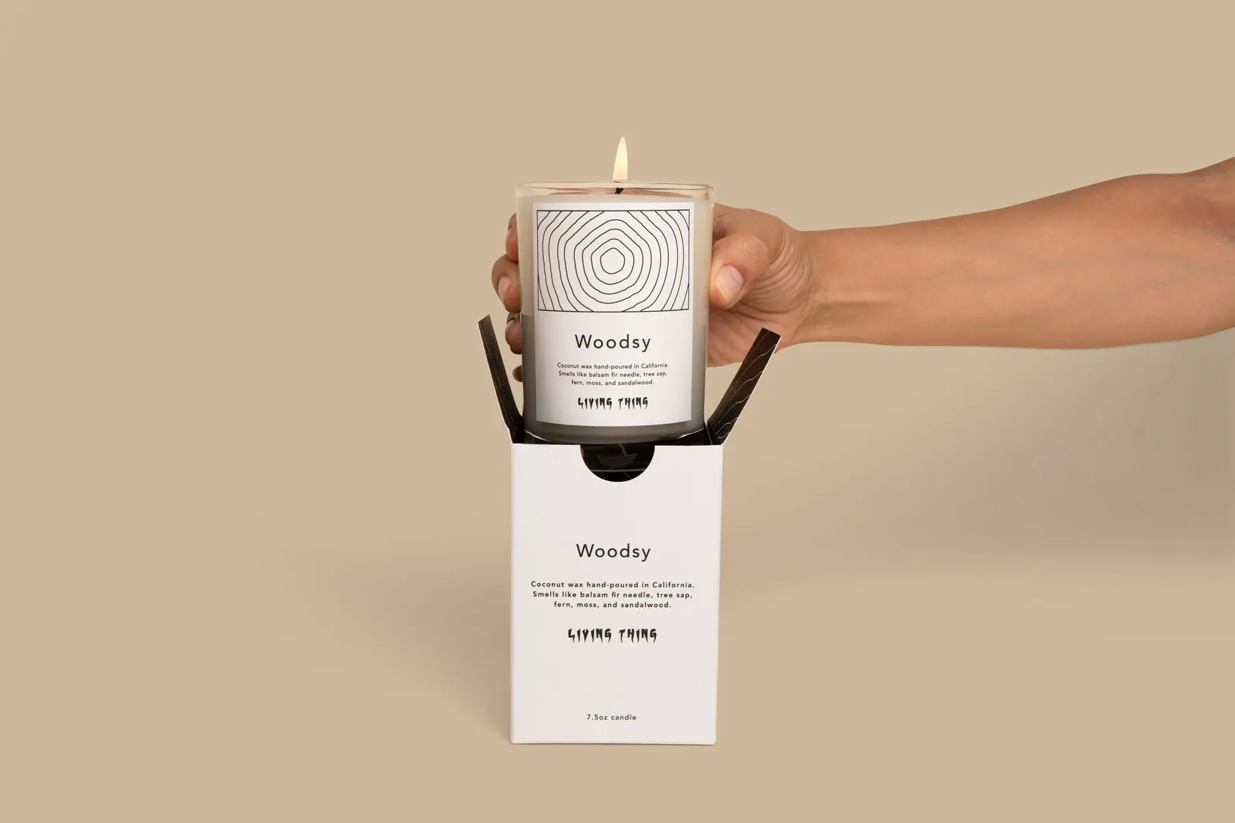 Amazon A+ content basic pack | soona