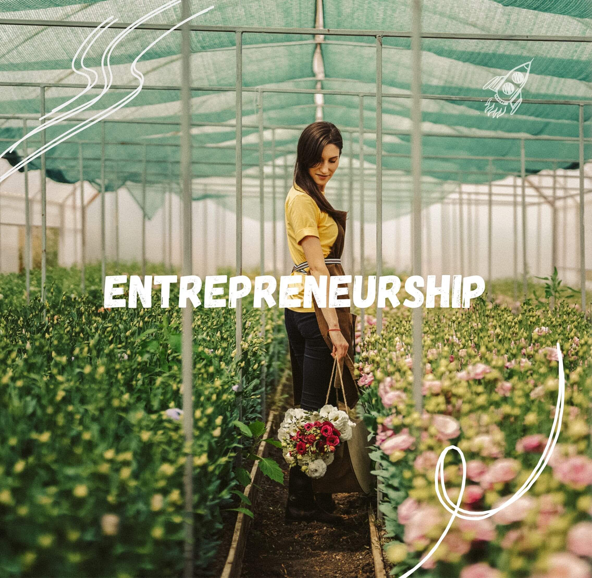 Exploring 10 Different Types of Entrepreneurship (2024)