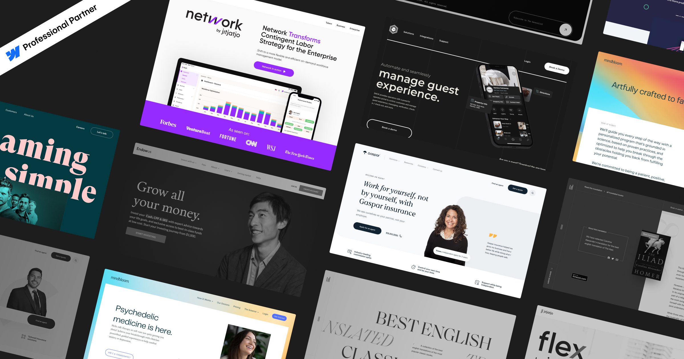 Peter Dimitrov - Webflow Expert & Designer