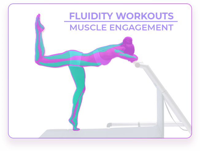 Official Fluidity Home