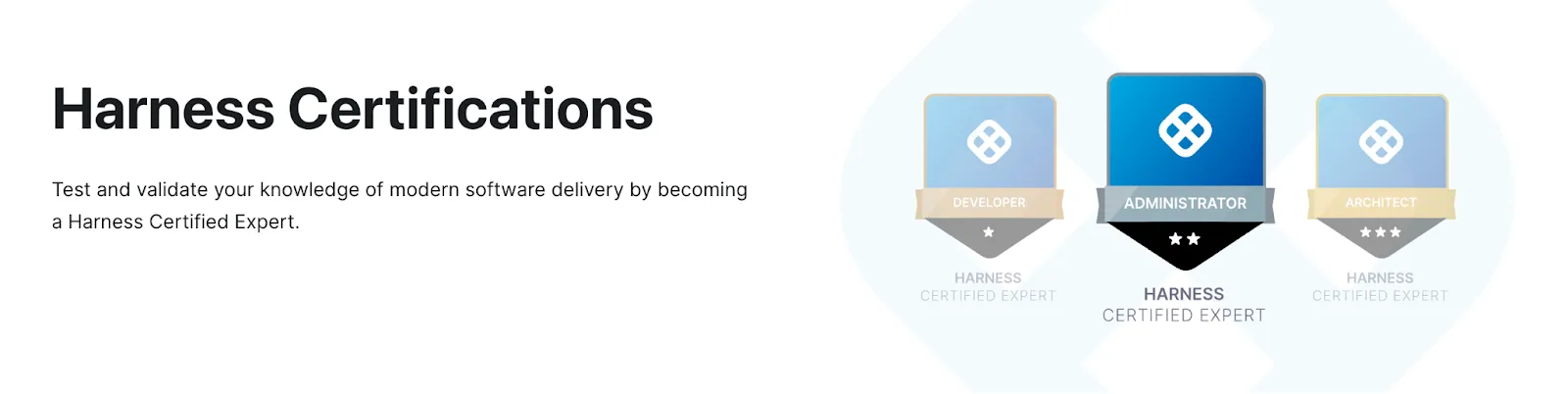 Growing the Harness Developer Hub | Harness