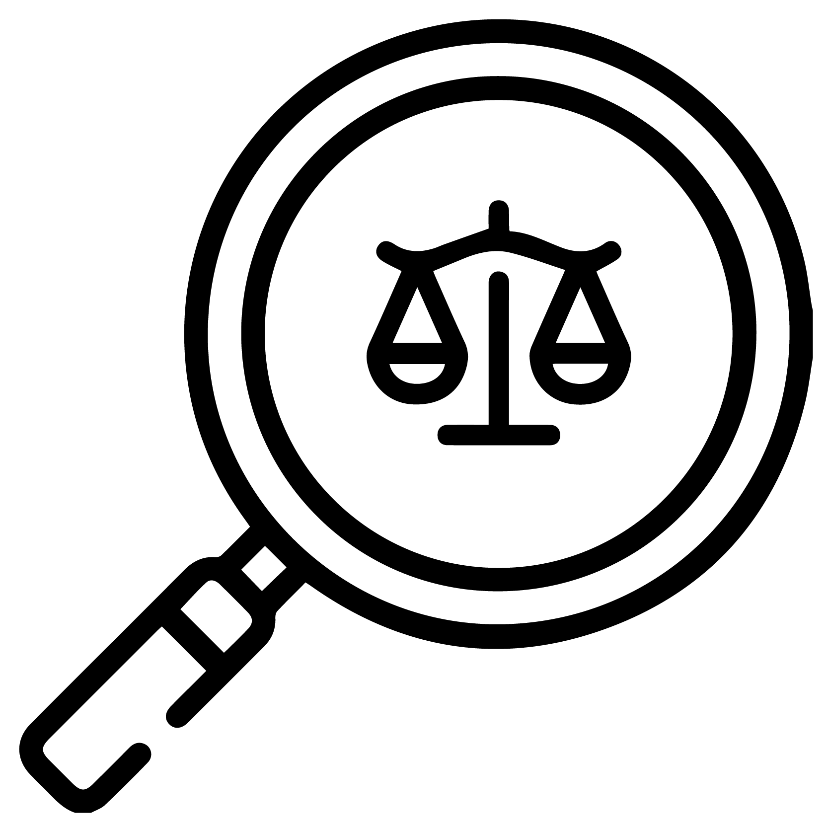Defense of Government Investigations & Conduct of Internal Investigations