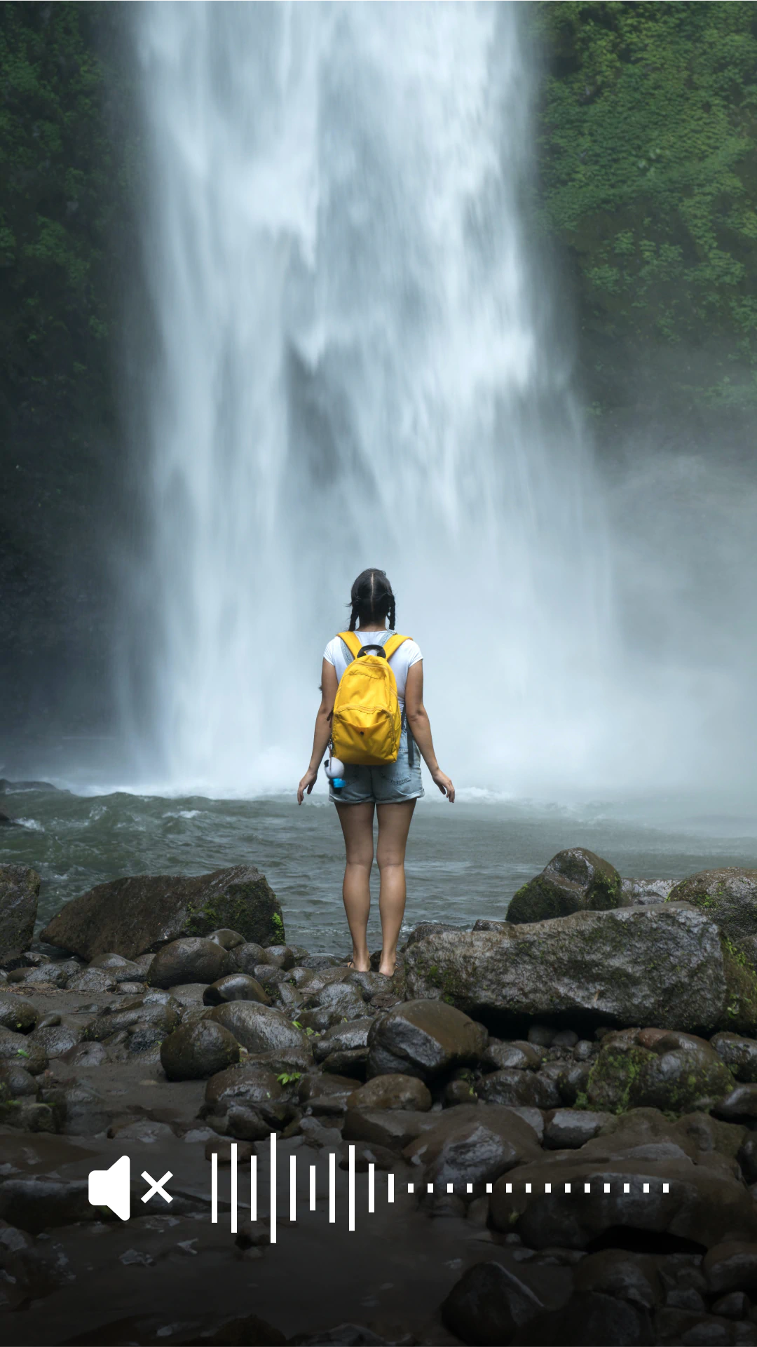 Remove Audio from Video: Mute Video | Videoleap