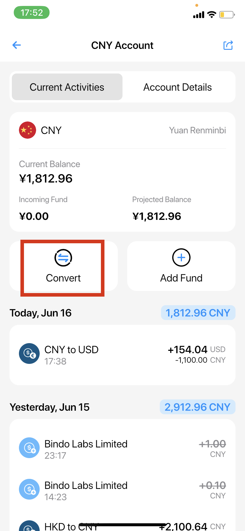 Foreign Currencies in Global Accounts