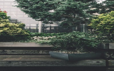 7 Exciting New York City Backyard Ideas (Rated by Homeowners)