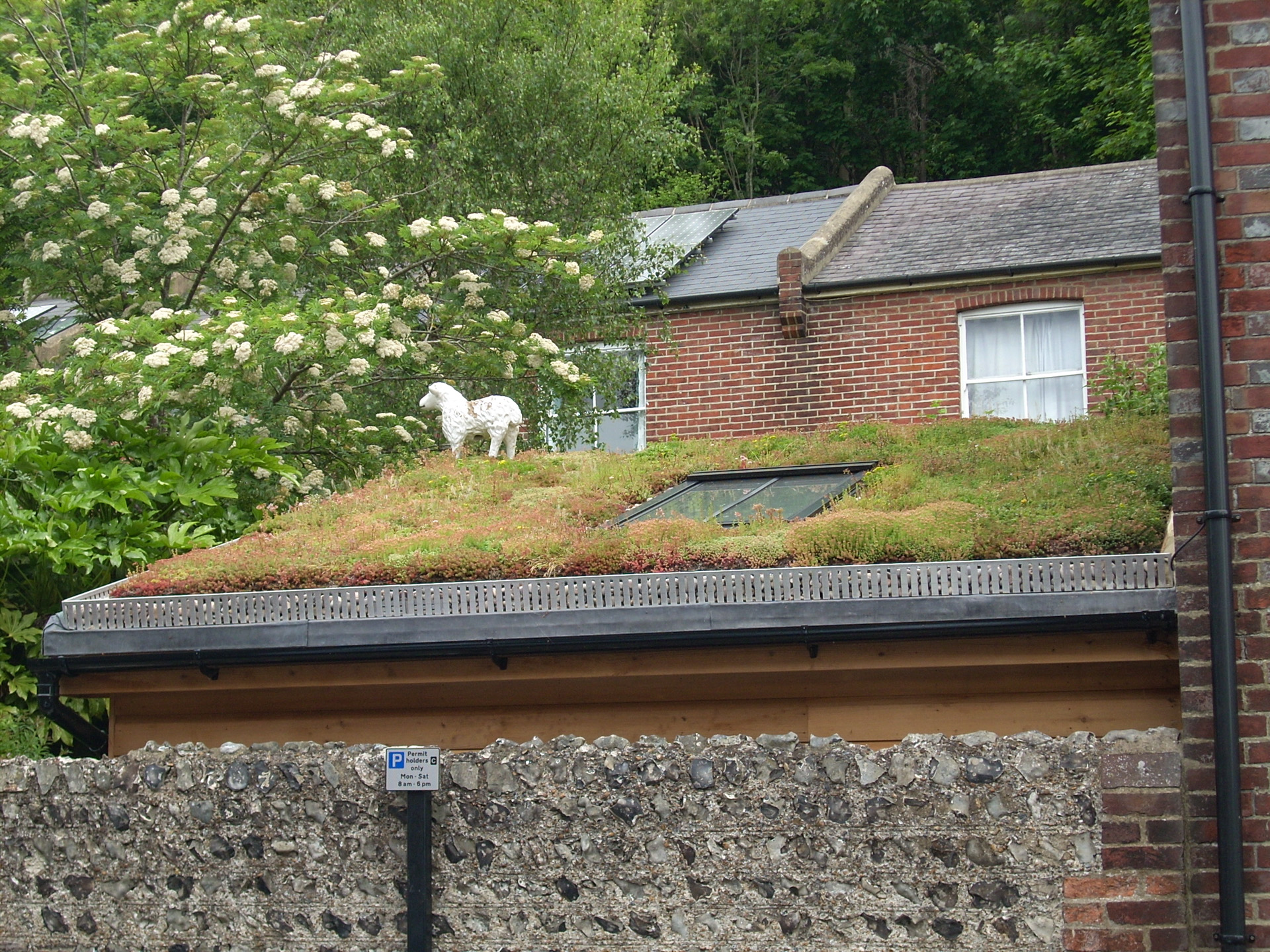 GrufeGuard Edge Restraint – 1m length from GrufeKit - sedum green ...