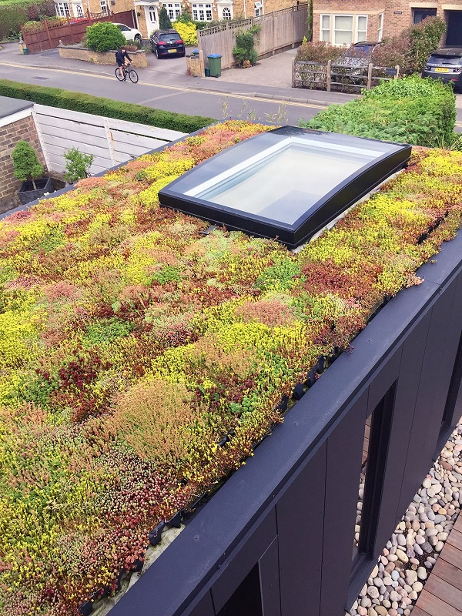 The Science of Green Roofs & How they Work - GrufeKit News