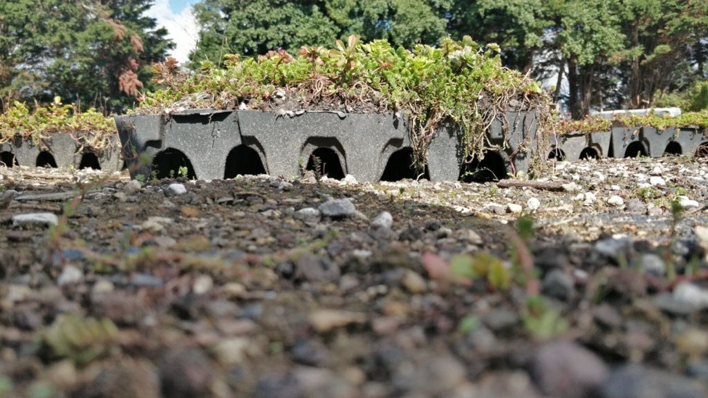 A Guide to Building Your Own Green Roof with GrufeKit - GrufeKit News