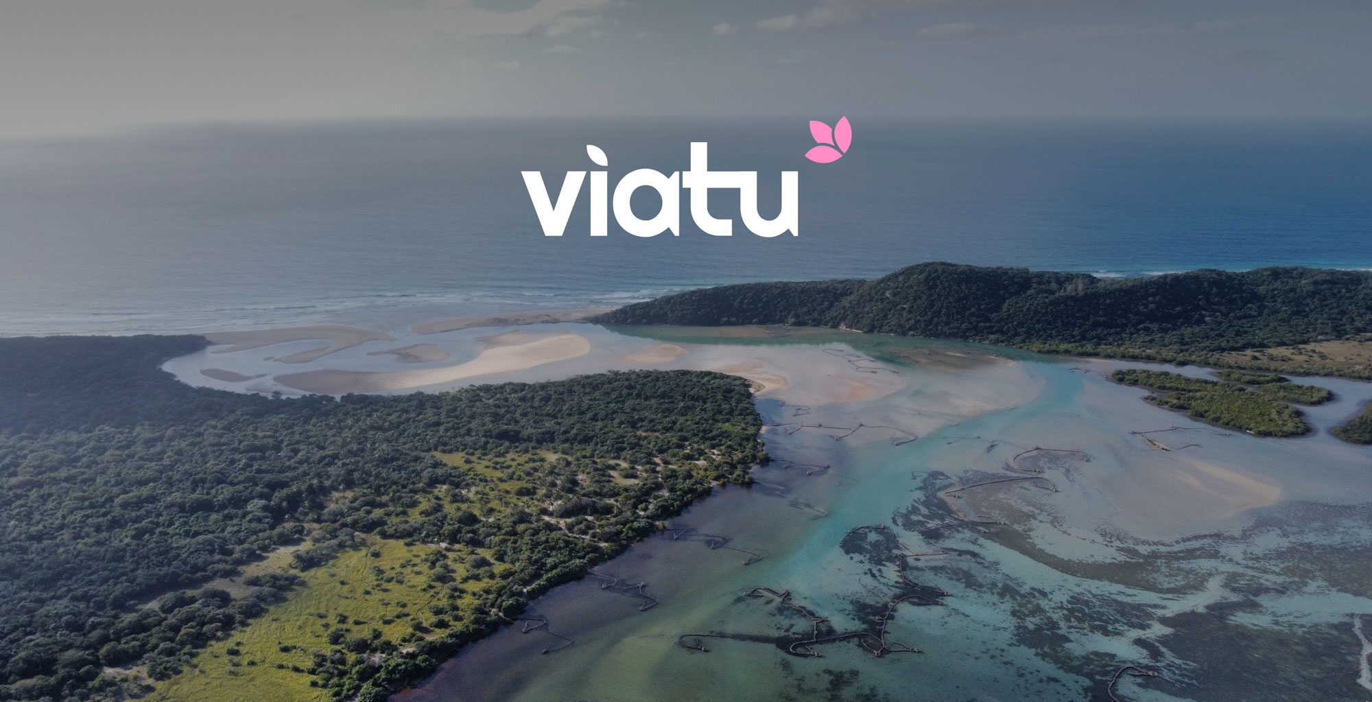 Origin Story Interview W/ Alfredo Seidemann, Viatu - Brighter Future