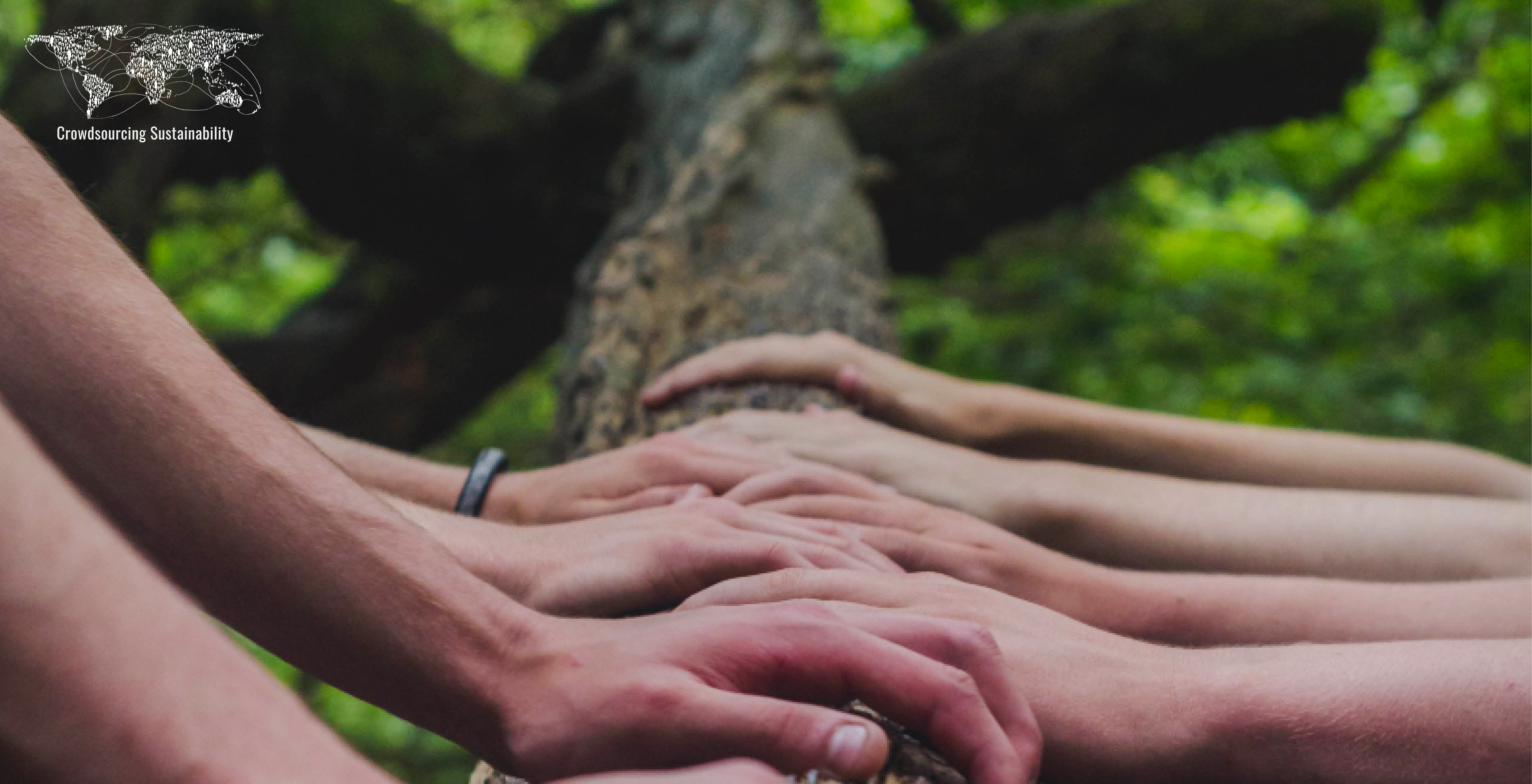 Origin Story Interview w/ Ryan Hagen, Crowdsourcing Sustainability ...