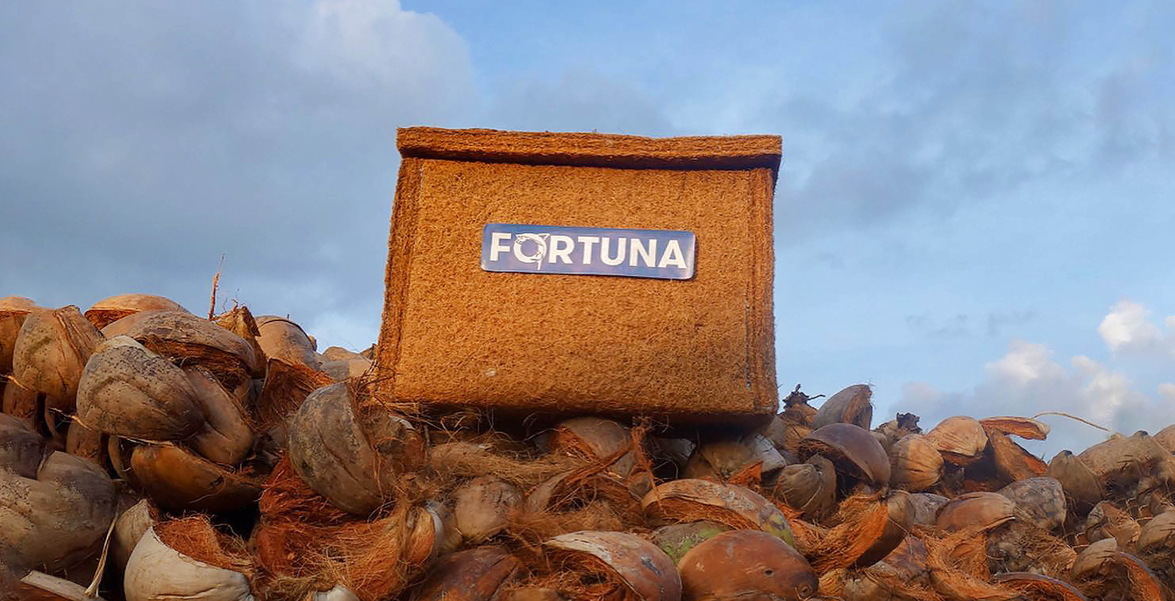 Origin Story Interview W/ David Cutler, Fortuna Cools - Brighter Future