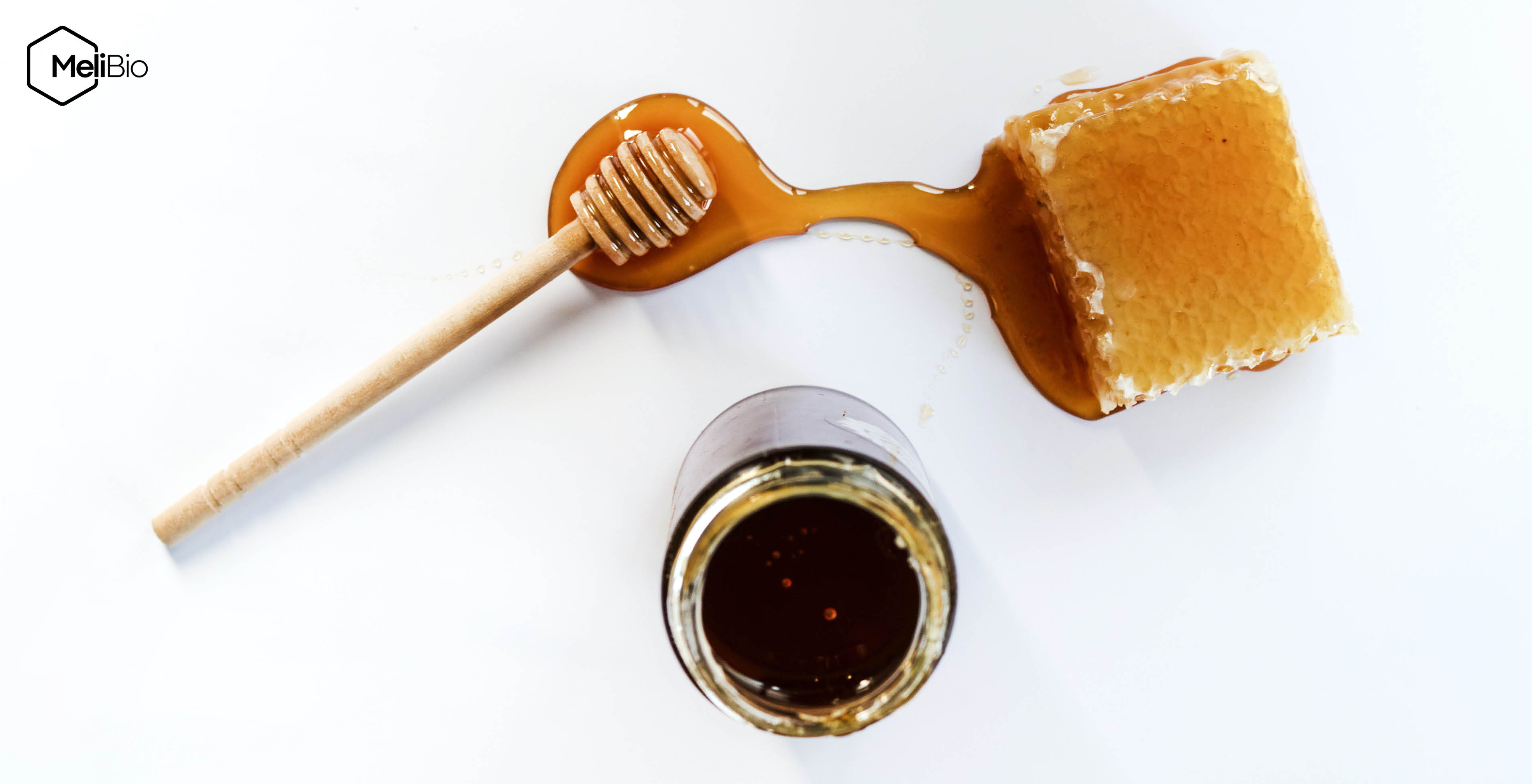 Origin Story Interview W/ Aaron Schaller, MeliBio - Brighter Future