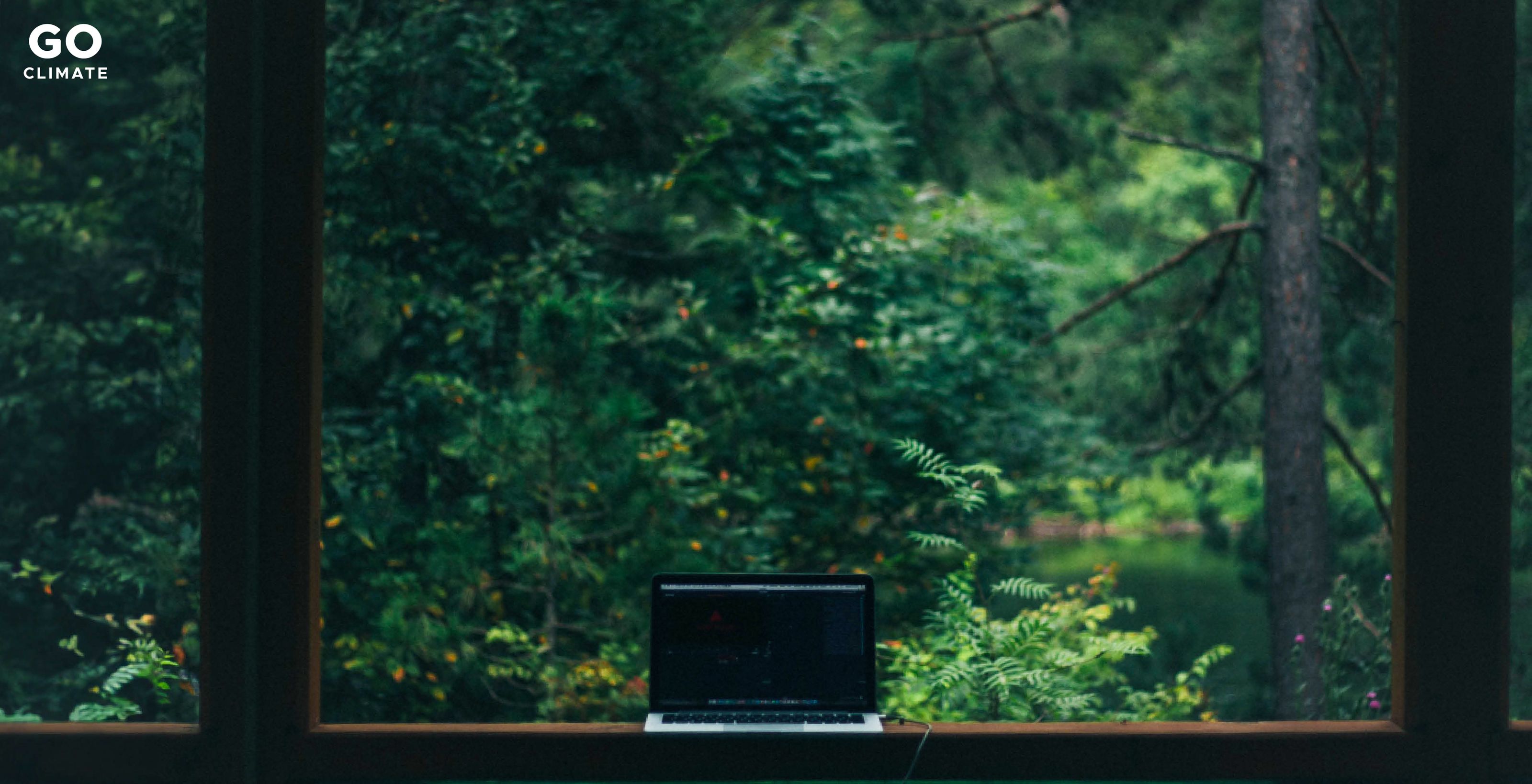 Origin Story Interview W/ Kalle Nilvér, GoClimate - Brighter Future