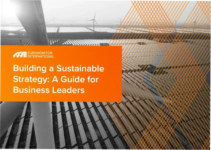 Building a Sustainable Strategy: A Guide for Business Leaders