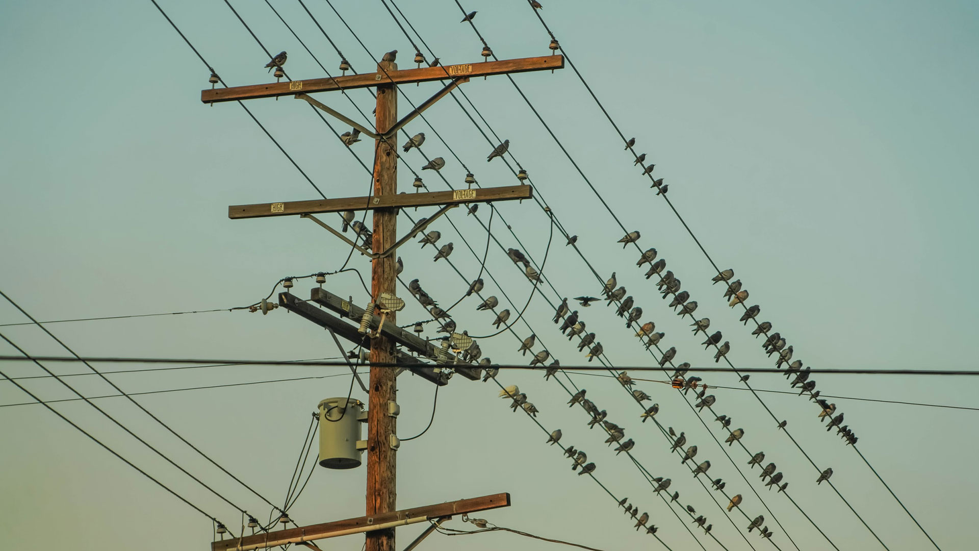 Five for Friday: COVID Resources and Van Gogh’s AI-Driven Selfies