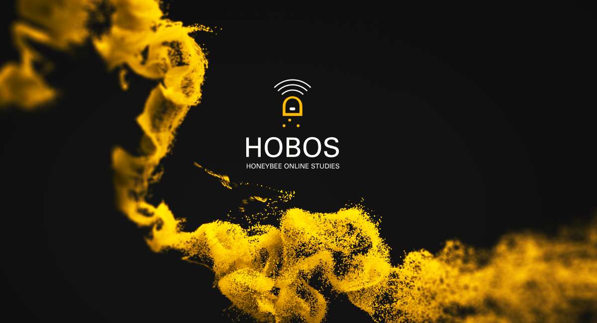 die-pro. | Cases | Website und Design für HOBOS - Einblicke in die ...