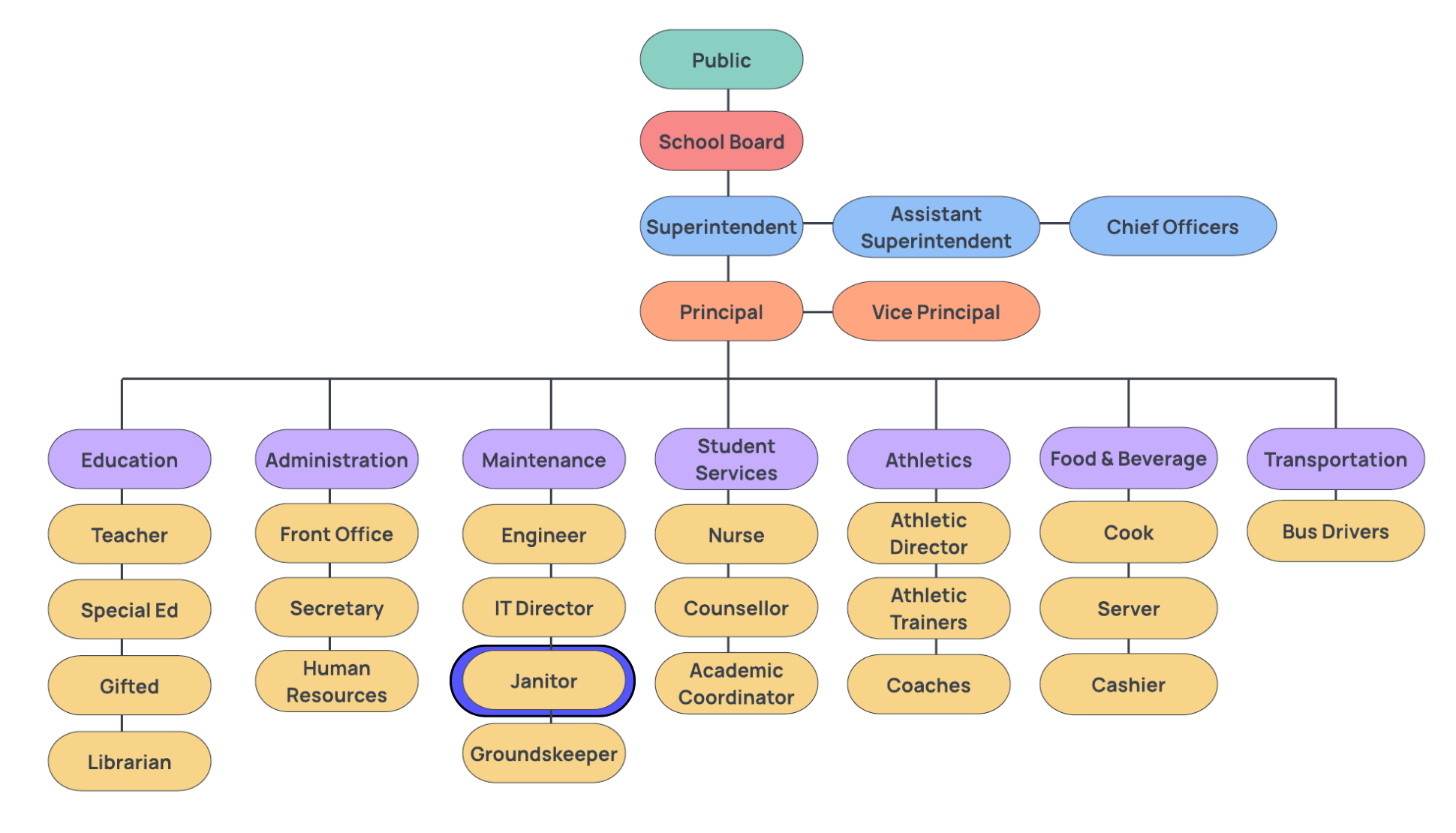 What is a School Janitor?