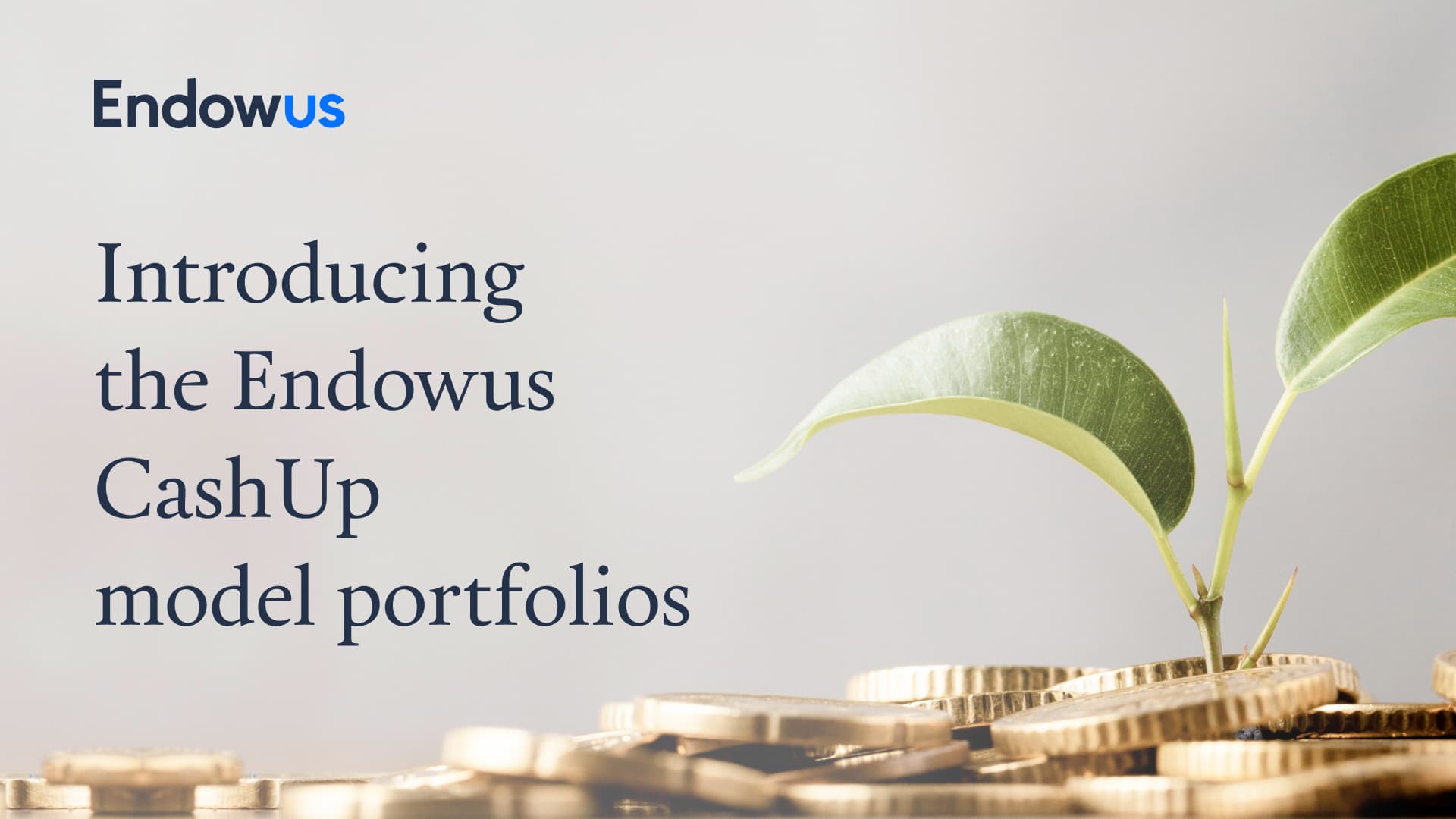 NEW: Introducing Endowus CashUp | Endowus HK