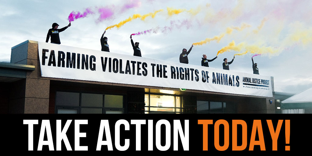 Take action today!