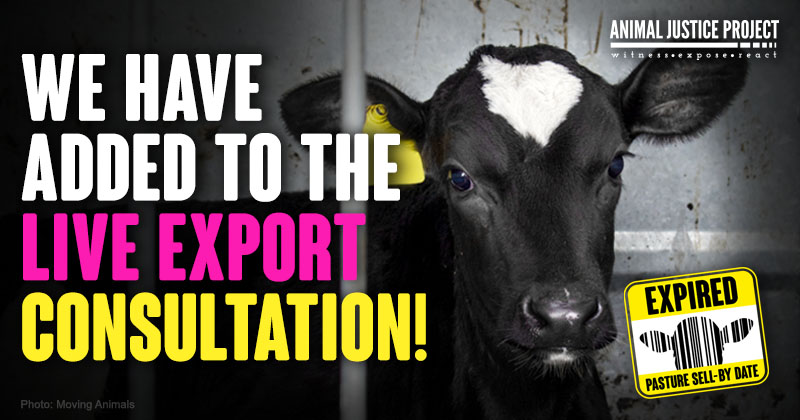 SPEAK Campaign marks their 20th anniversary