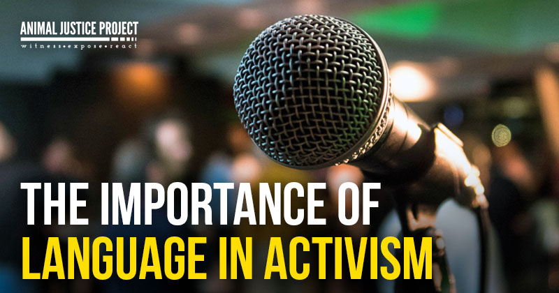 The Importance of Language in Activism