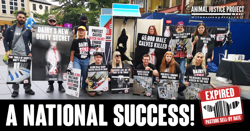 Dairy Still Kills: National Day of Action Success!