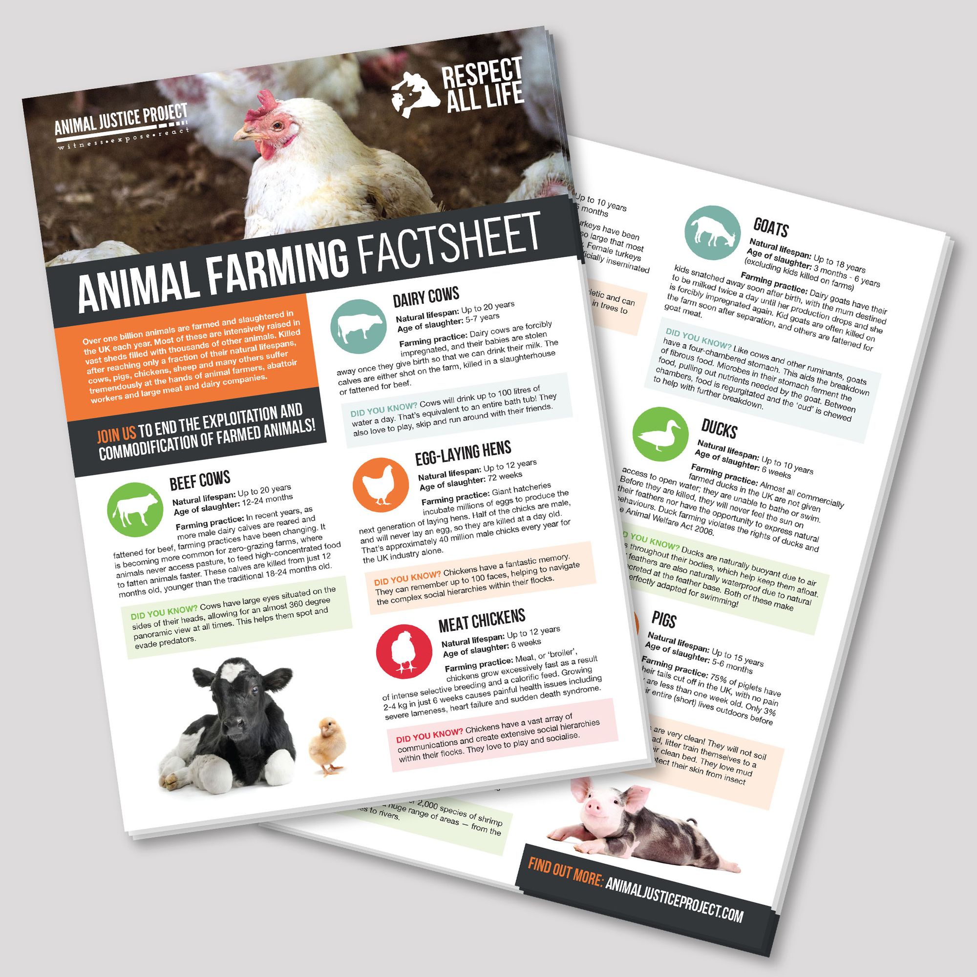 Respect All Life A4 Animal Farming Factsheets
