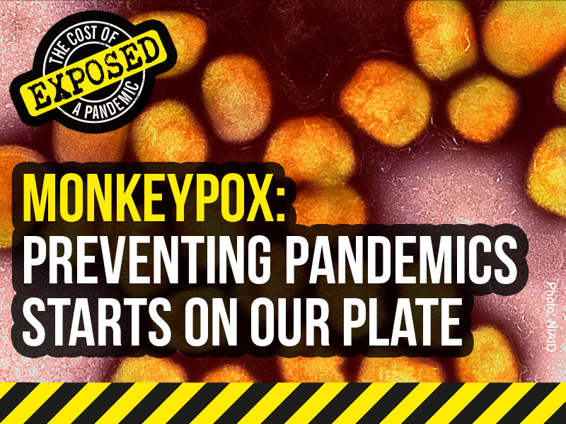 Monkeypox – Another Example of Animal Exploitation’s Devastating Impact ...